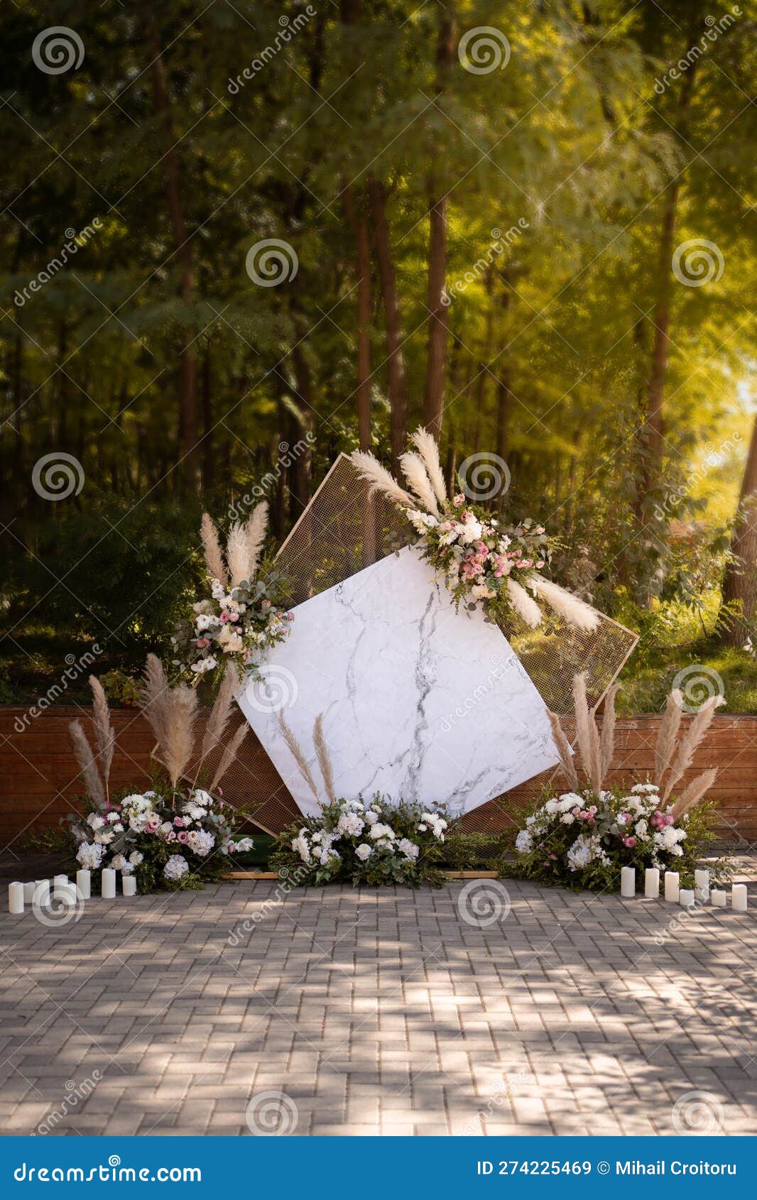 Beautiful Wedding Arch. Celebrations and Greetings. Modern Wedding ...