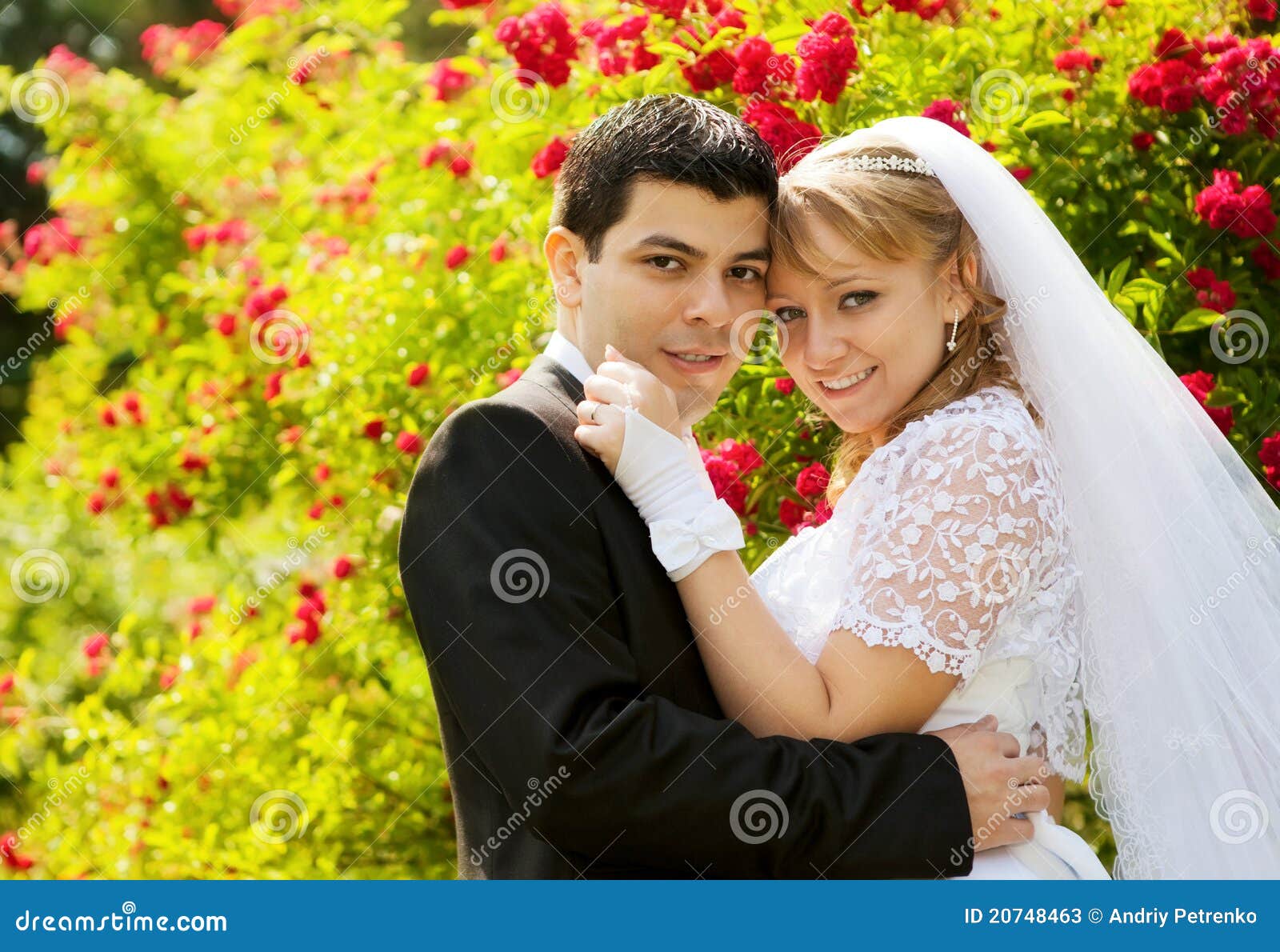 Beautiful wedding couple stock image. Image of bride - 20748463