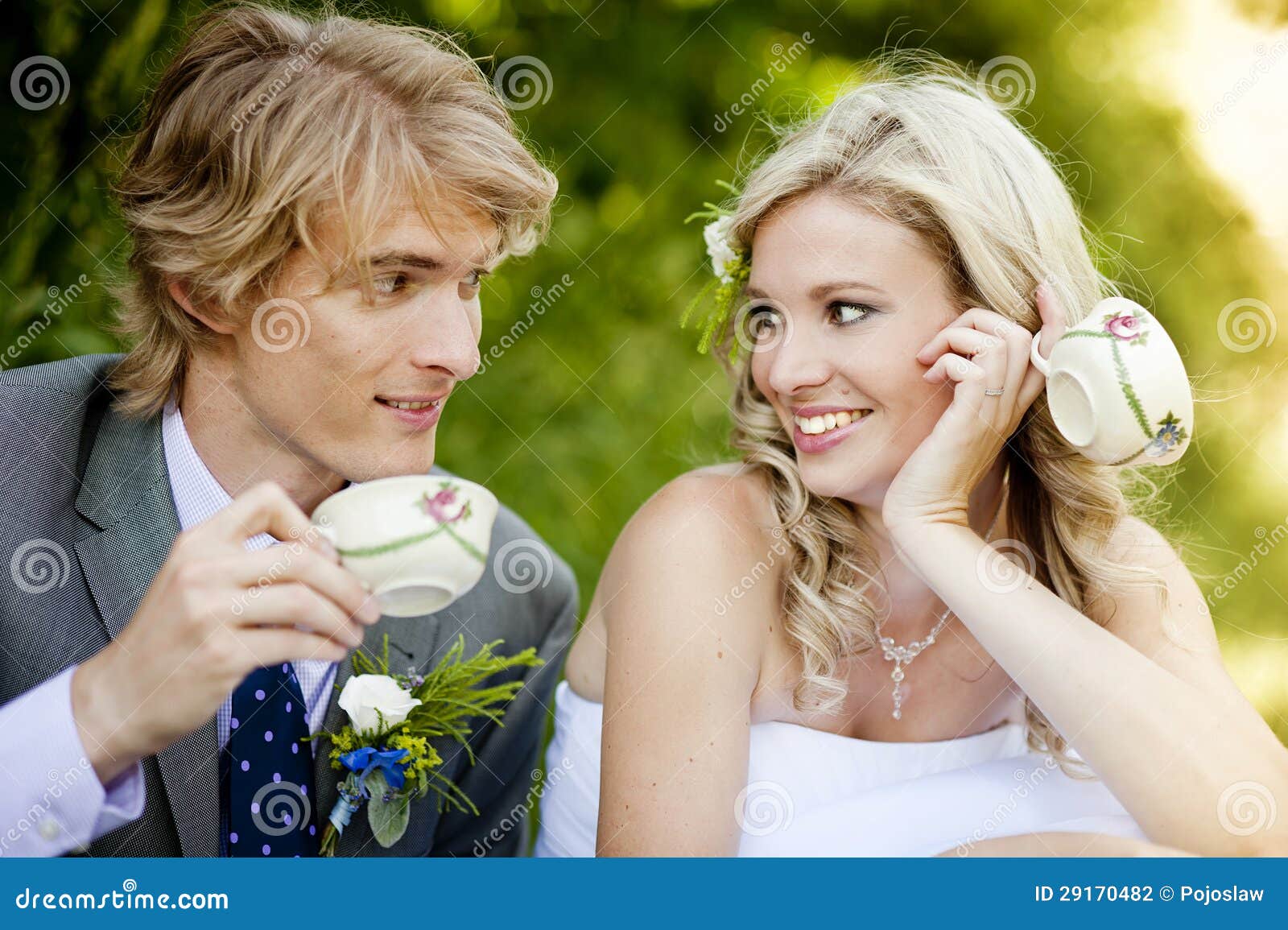 Beautiful wedding couple stock photo. Image of adult - 29170482