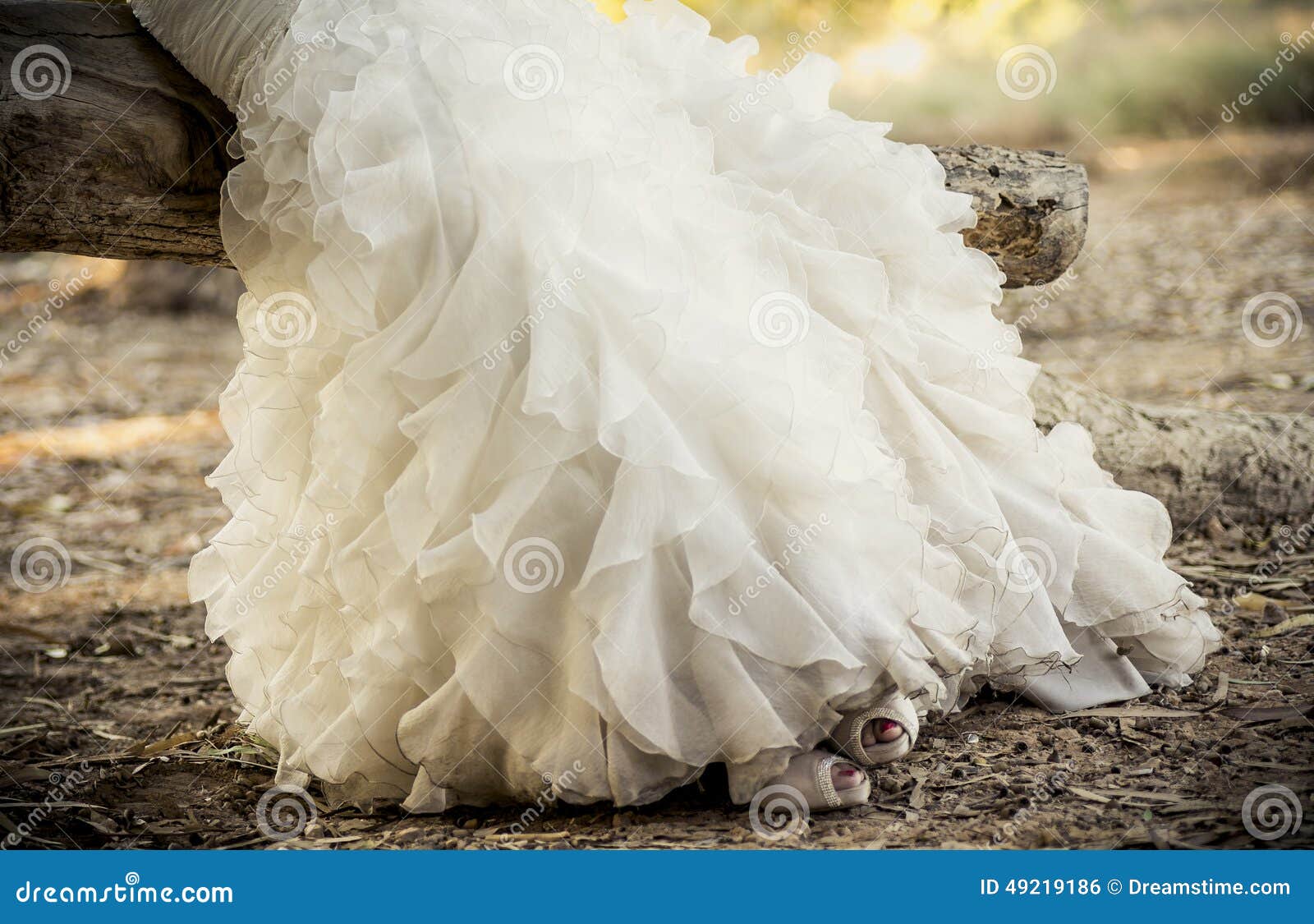Beautiful wedding dress stock photo. Image of beauty - 49219186