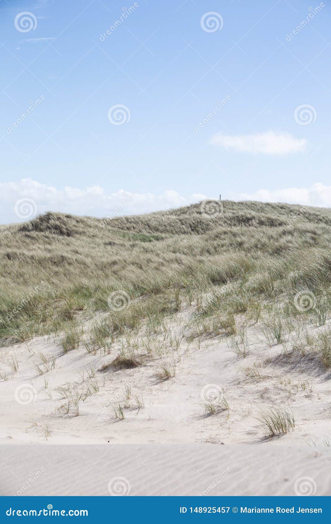 The Western Coast of Denmark Stock Image - Image of western, danish ...
