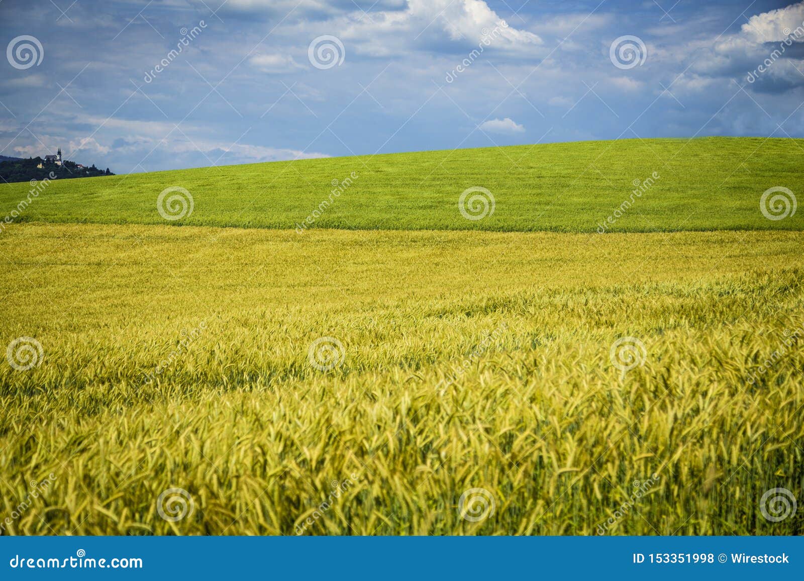Beautiful Wheat Field with Patterns and Formations during Summertime ...