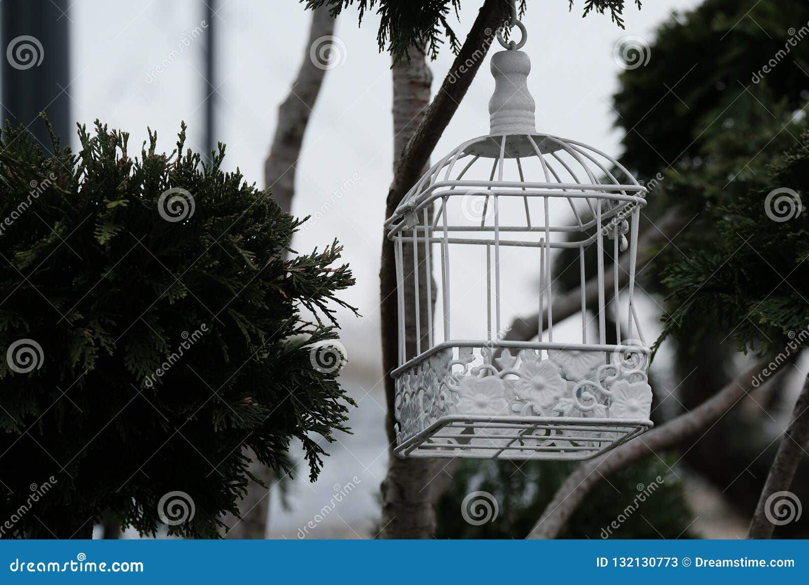 Beautiful white cage stock image. Image of openwork - 132130773
