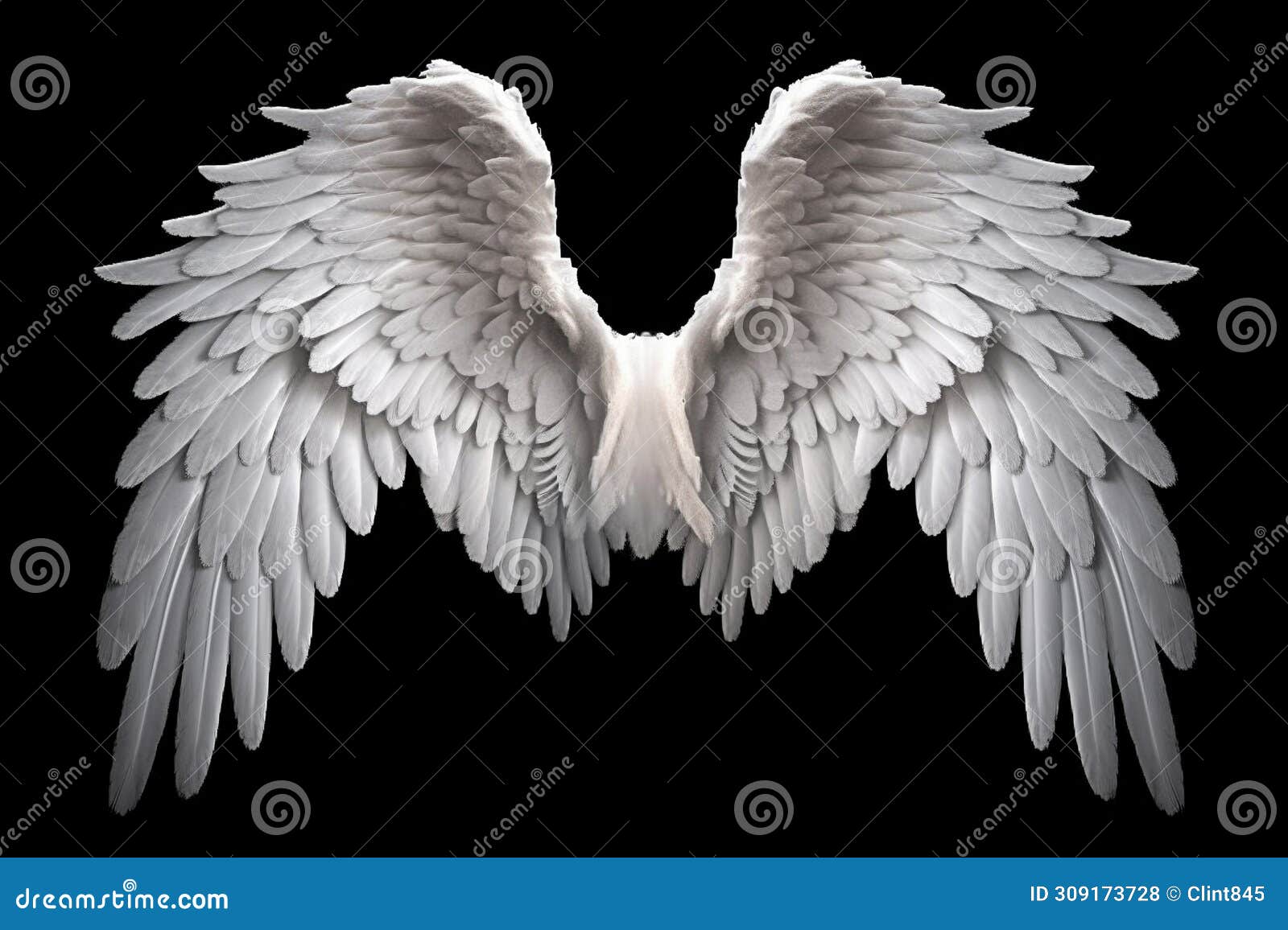 Beautiful White Feathered Angel Wings in Unity and Harmony Stock Photo ...