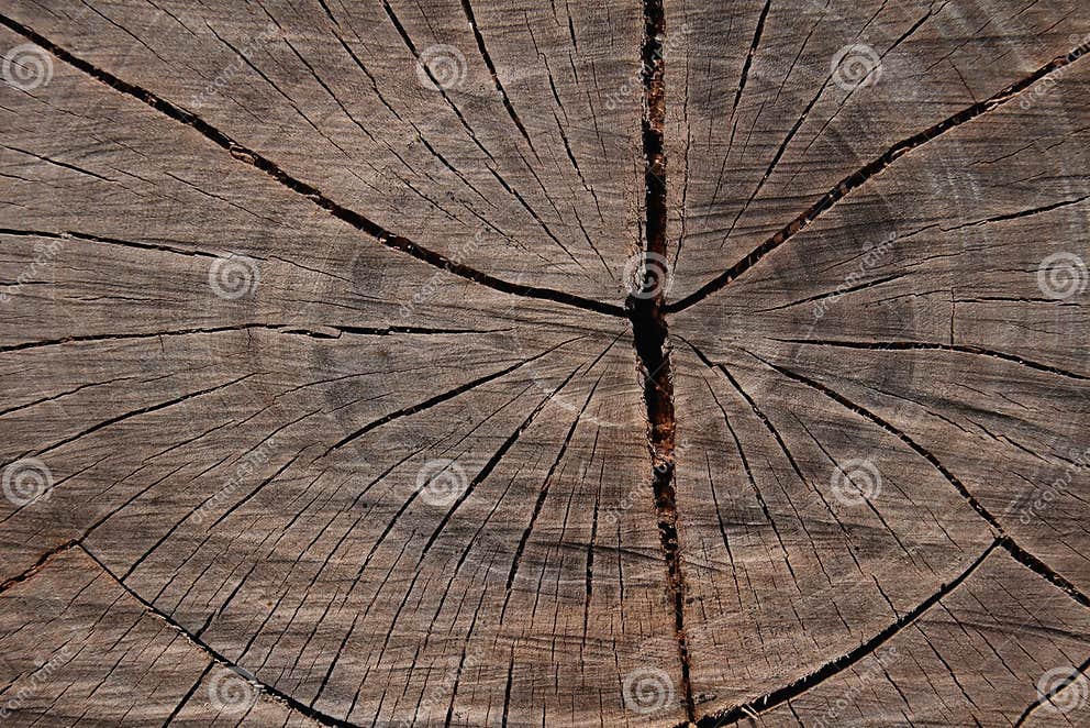 Beautiful Wood Textured Background, Wood Texture, Brawn Wood. Stock ...