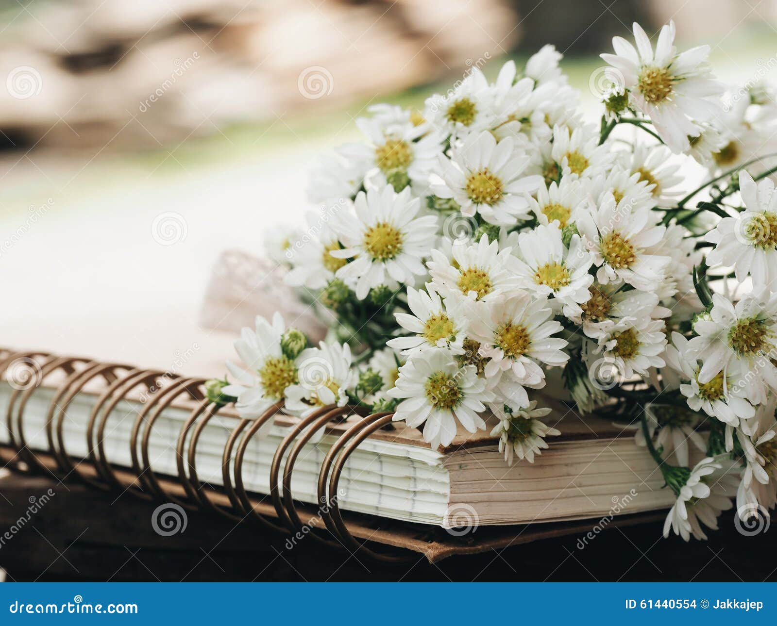 Beautiful White Flower and Vintage Book Stock Photo - Image of white ...