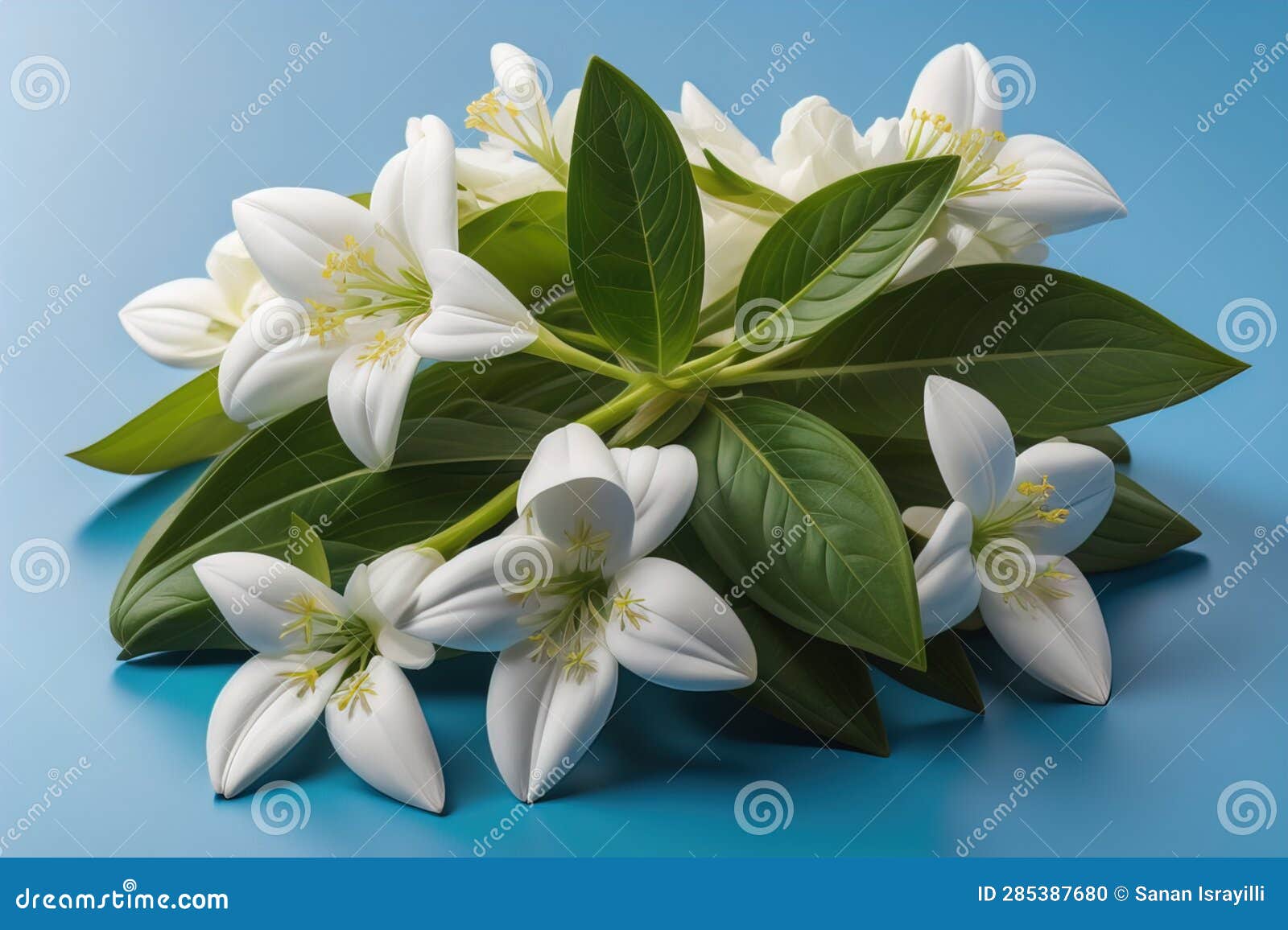 Beautiful White Lilies on Solid Color Background, Closeup. Floral Decor ...