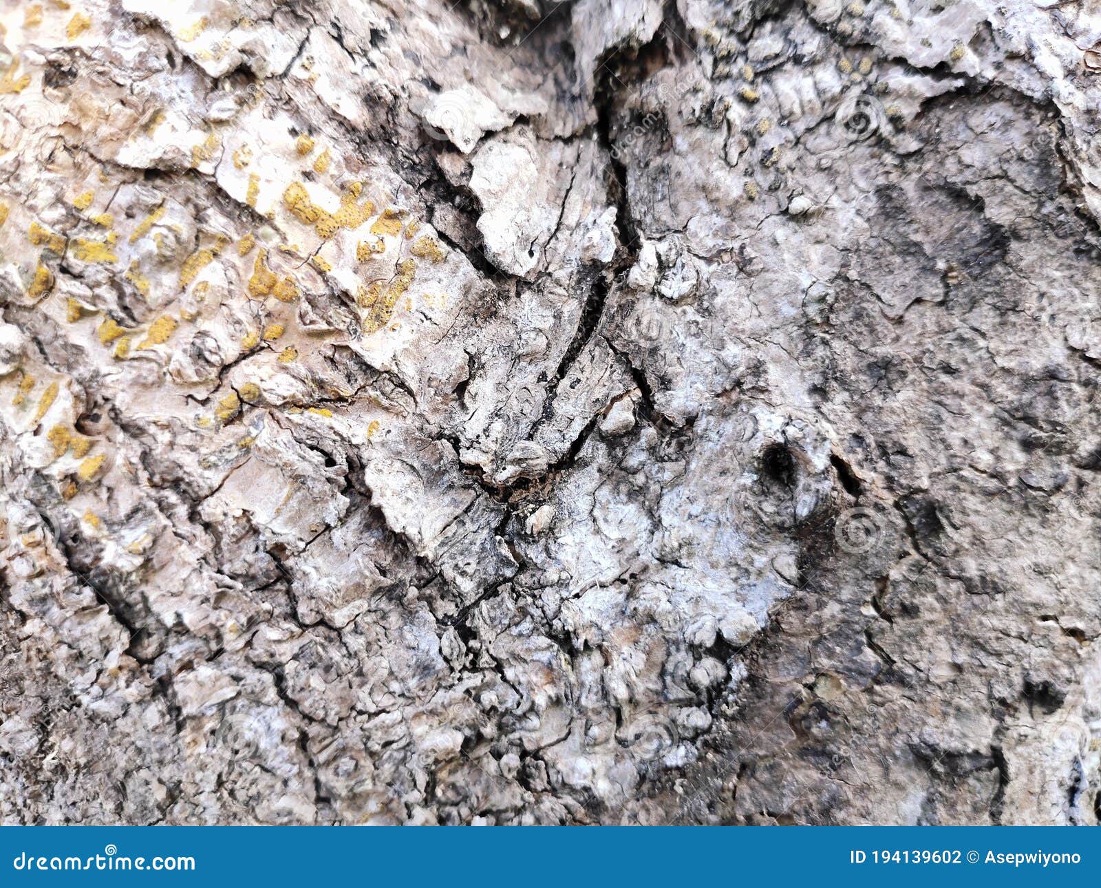 White Limestone Wall Background Texture Stock Photo - Image of unique ...