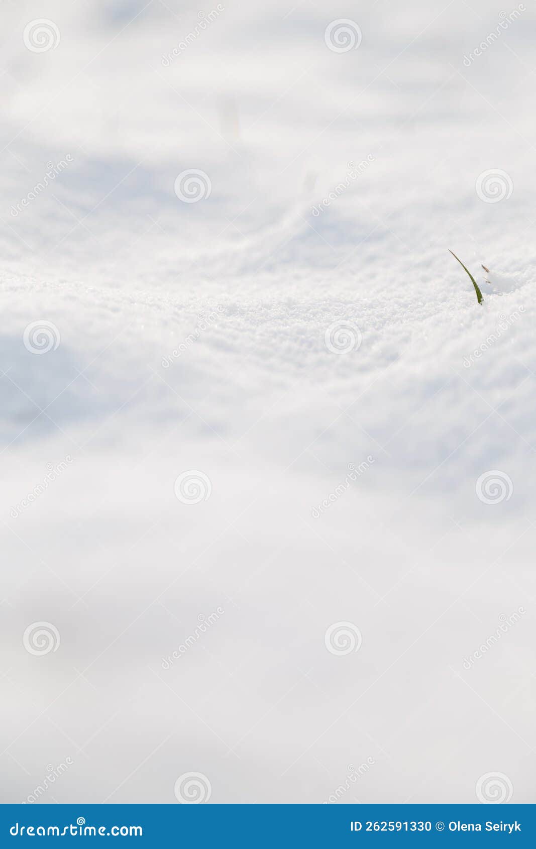 Beautiful White Pure Snow Texture Background, Winter Precipitation ...