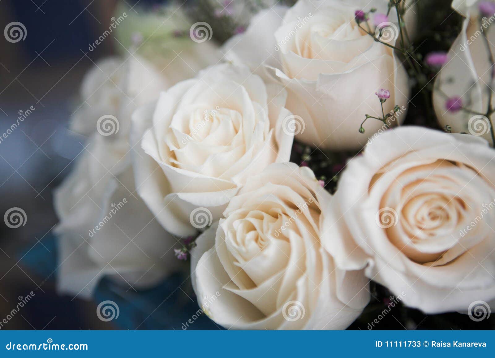 Beautiful white roses stock image. Image of anniversary - 11111733