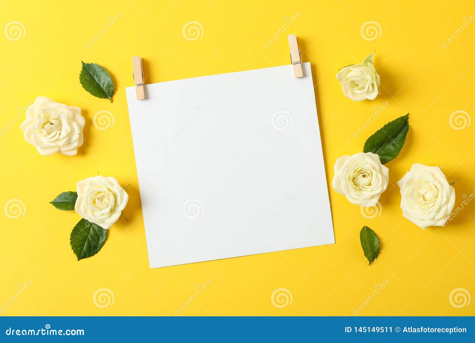 Beautiful White Roses and Blank Sheet on Yellow Background Stock Image ...