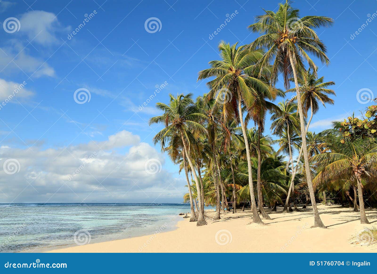 Beautiful White Sand Beach in Caribbean Islands Stock Photo - Image of ...