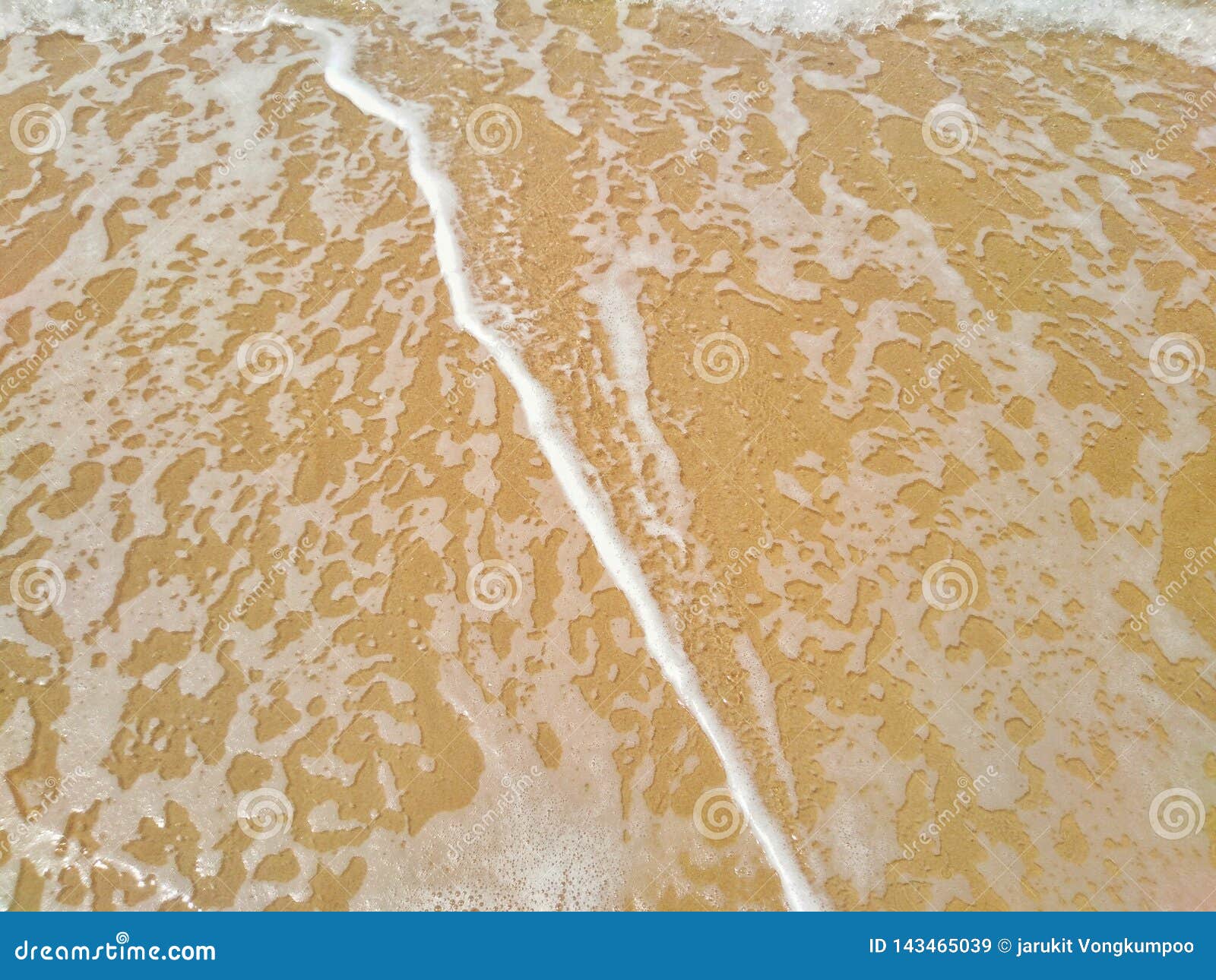 Beautiful White Sea Sponge on the Beach Stock Image - Image of sponge ...