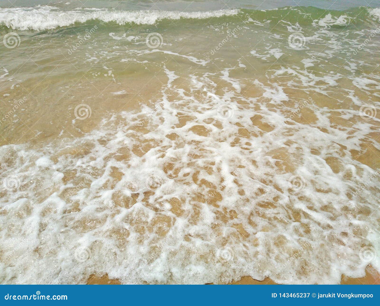Beautiful White Sea Sponge on the Beach Stock Image - Image of white ...