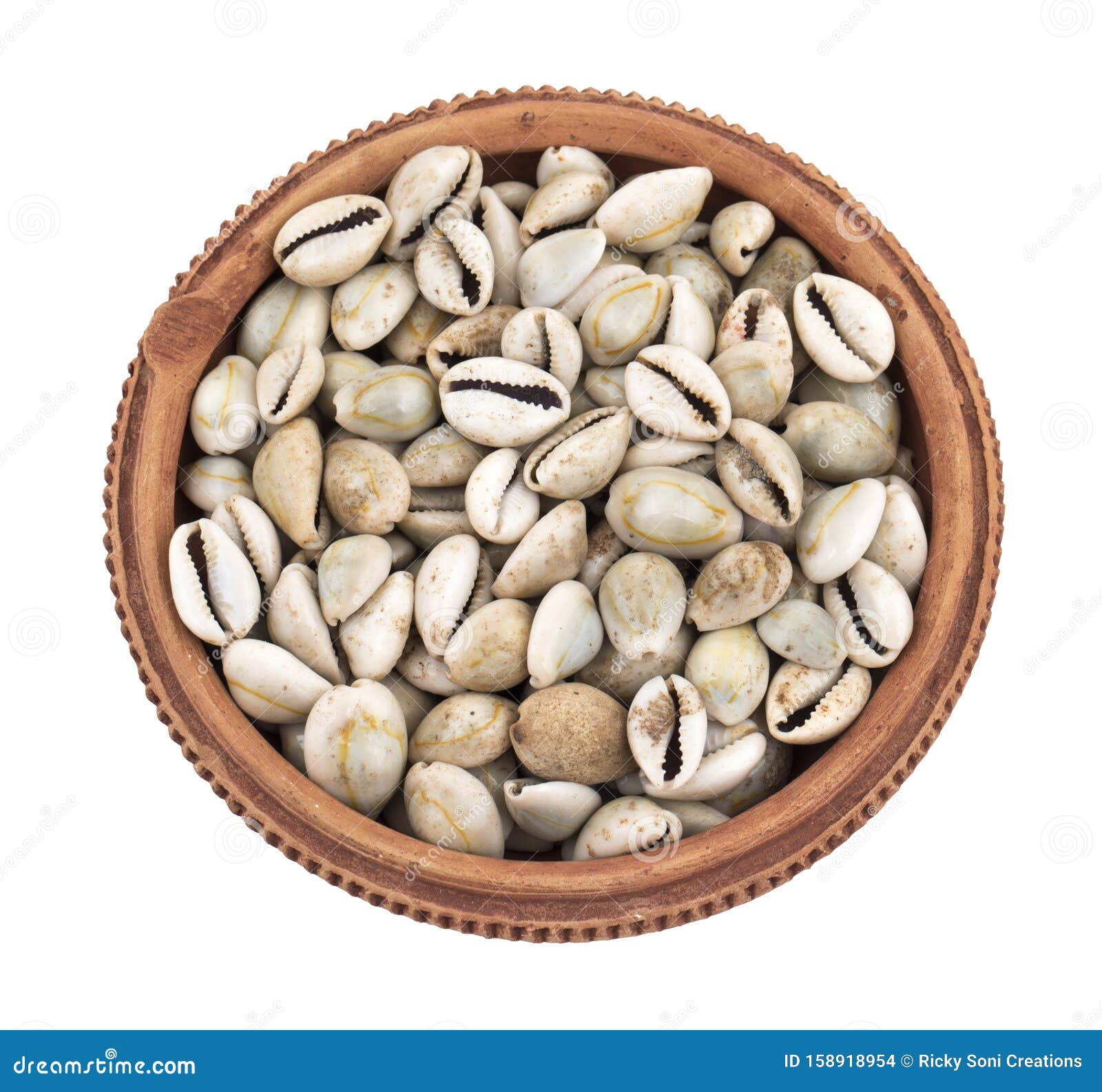 Beautiful White Seashells stock photo. Image of concept - 158918954