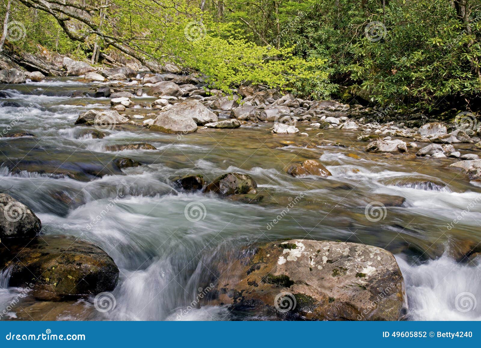 Beautiful White Water Streams in Spring. Stock Photo - Image of flower ...