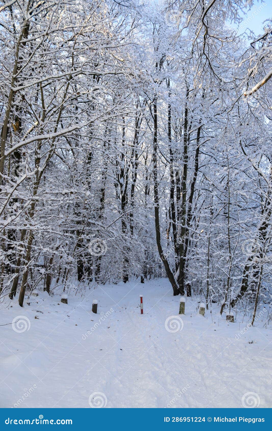 A Beautiful White Winter Landscape with Snow and Trees Stock Photo ...