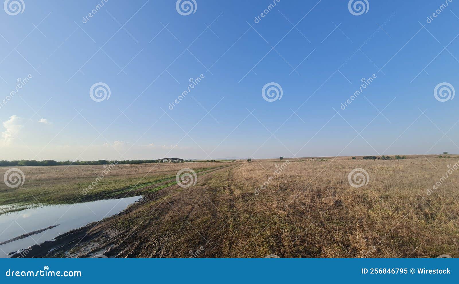 Beautiful Wide Field of Drying Grass Stock Image - Image of field ...