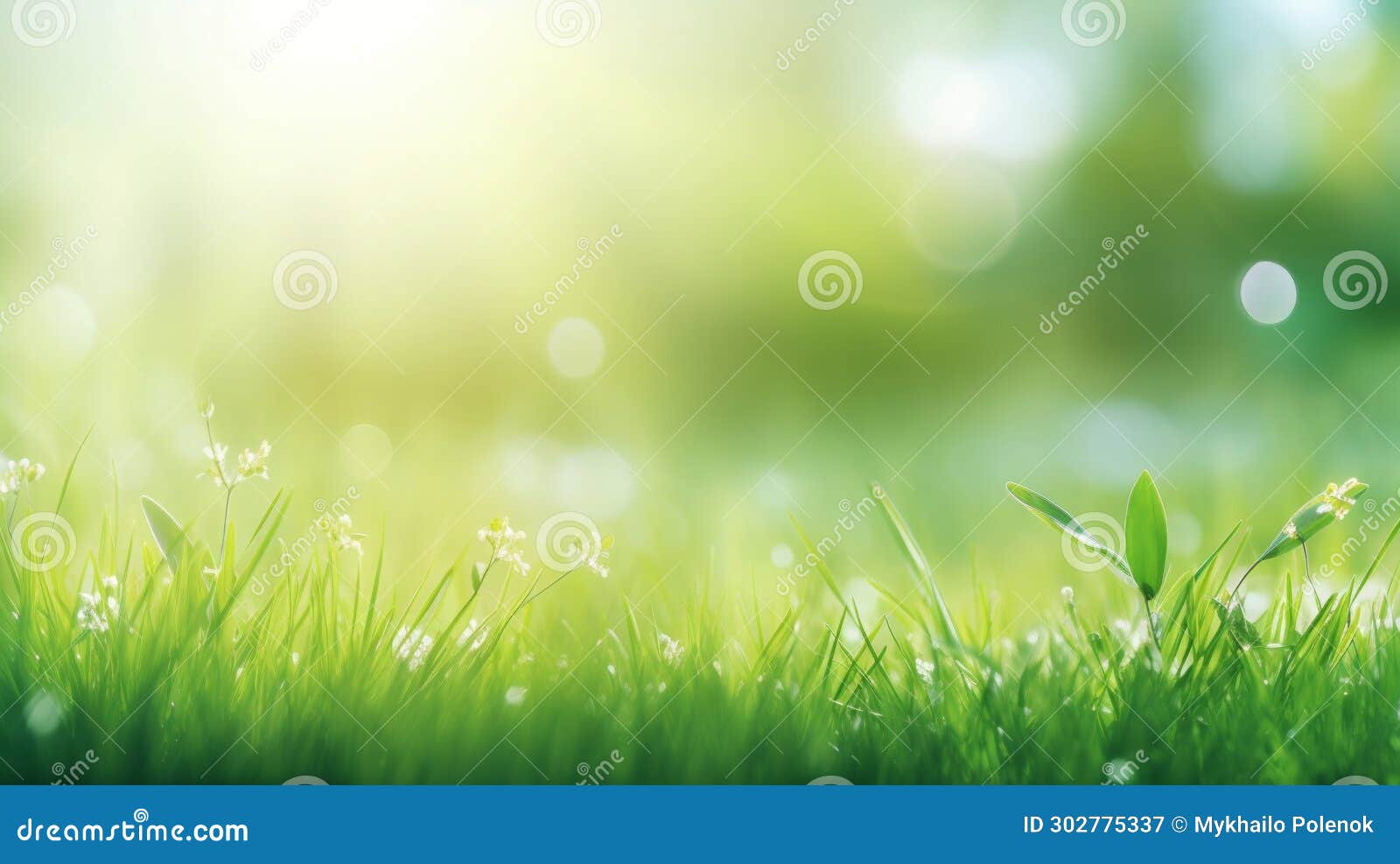 Beautiful Wide Format Image of a Pristine Forest Lawn with Fresh Grass ...