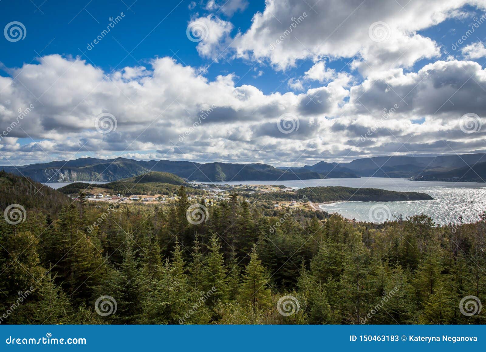 Cliffs of Nova Scotia, Canada. Atlantic Ocean, Rocks Stock Image ...