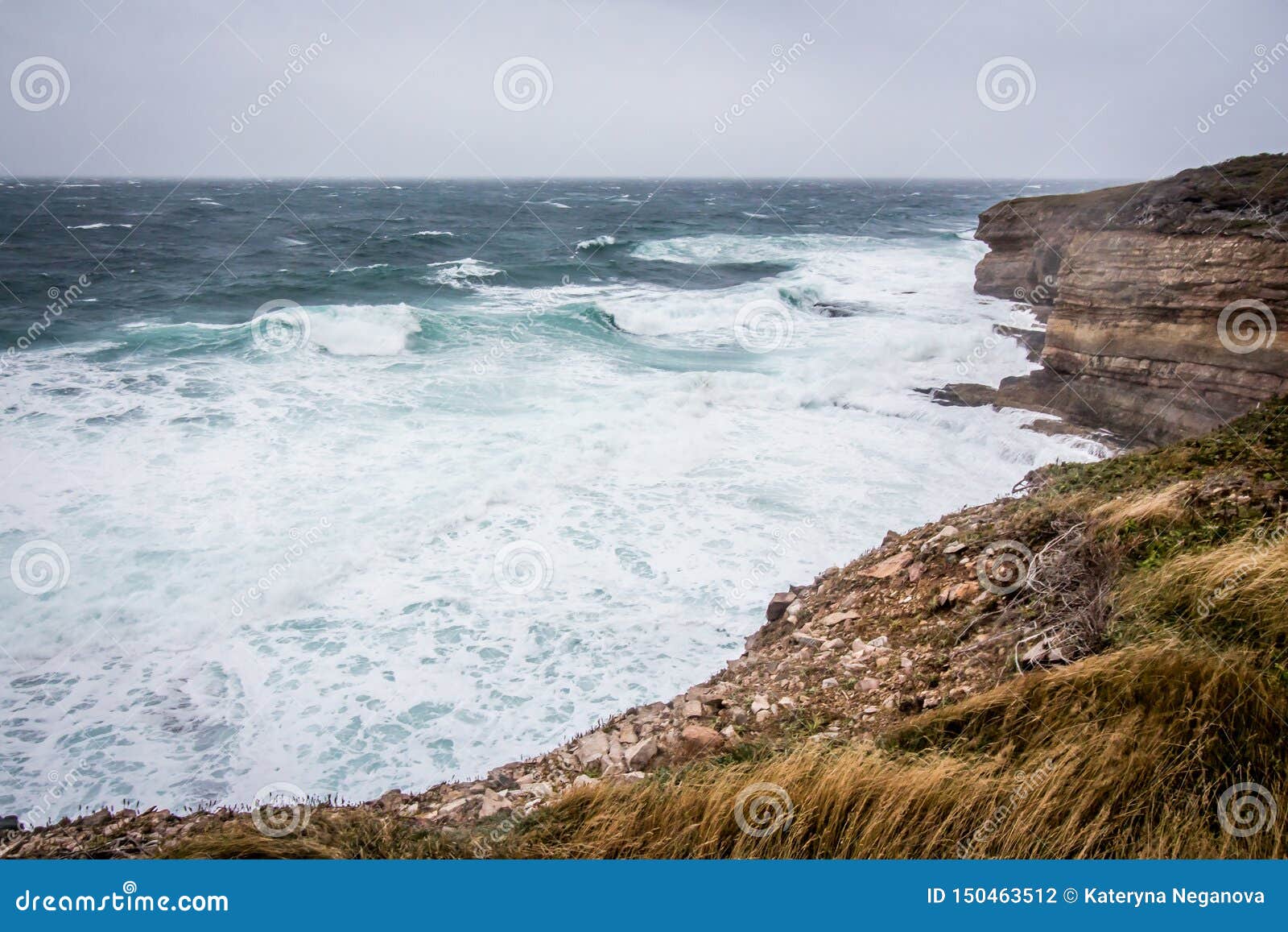 Cliffs of Nova Scotia, Canada. Atlantic Ocean, Rocks Stock Photo ...