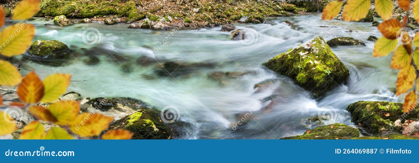 Beautiful Wild River with Clear Water in Ravine Stock Image - Image of ...