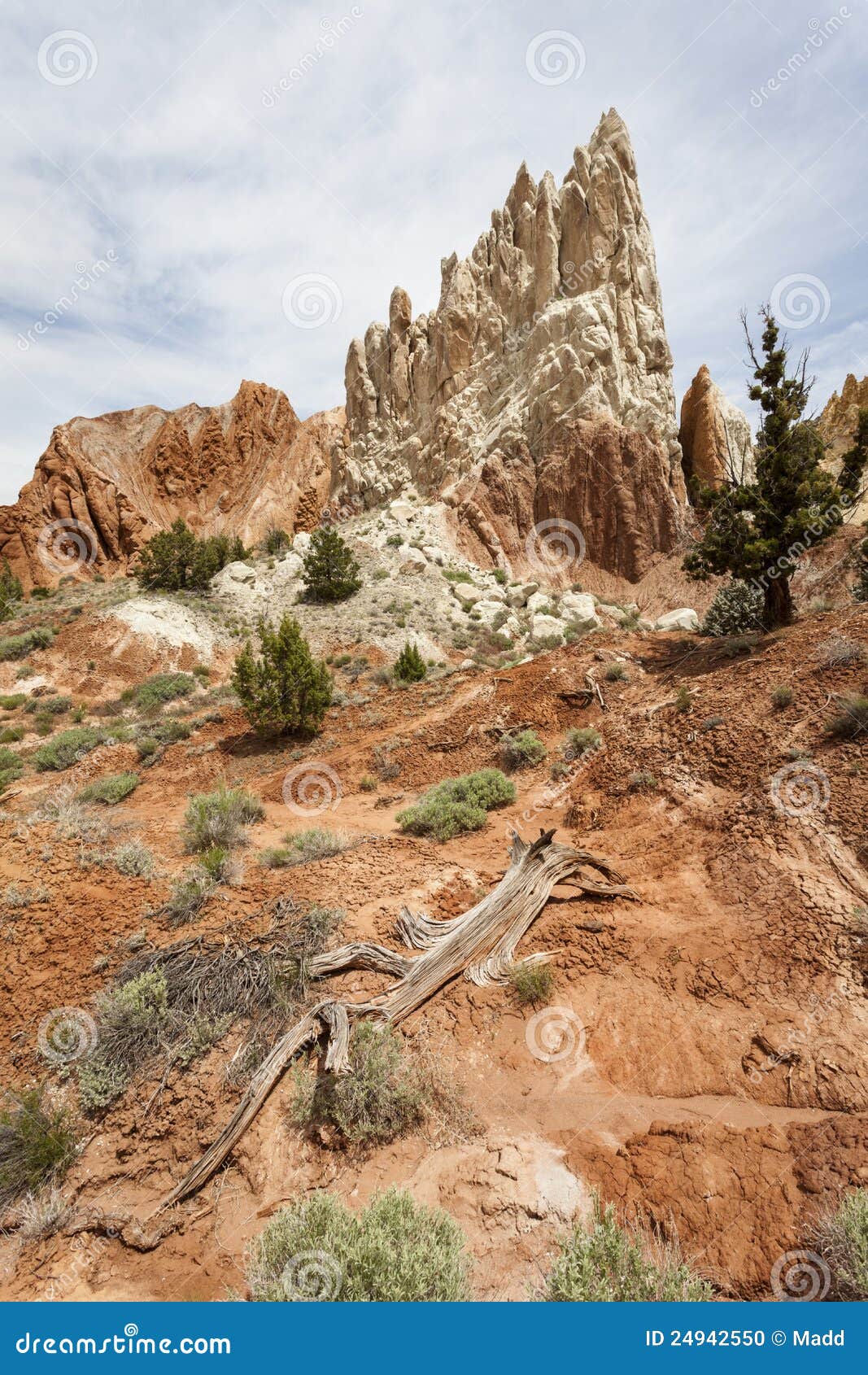 Beautiful Wilderness stock photo. Image of southwestern - 24942550