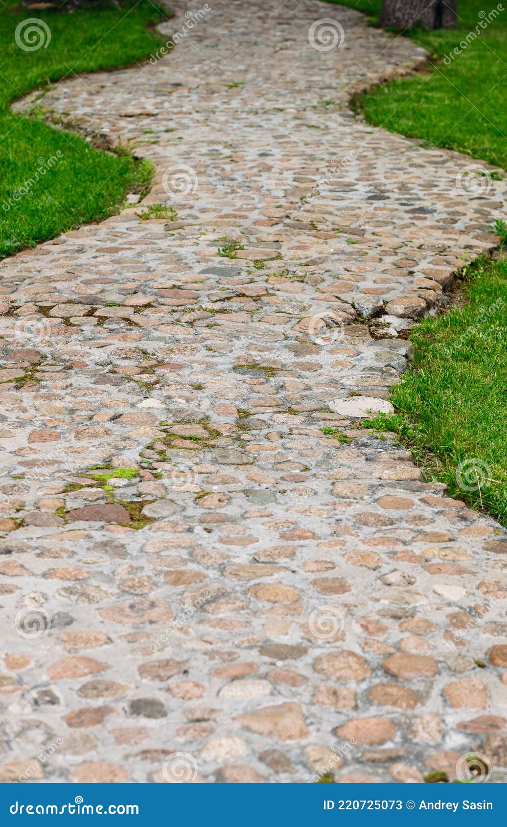 Beautiful Winding Stone Path in the Park. Vertical Shot Stock Image ...