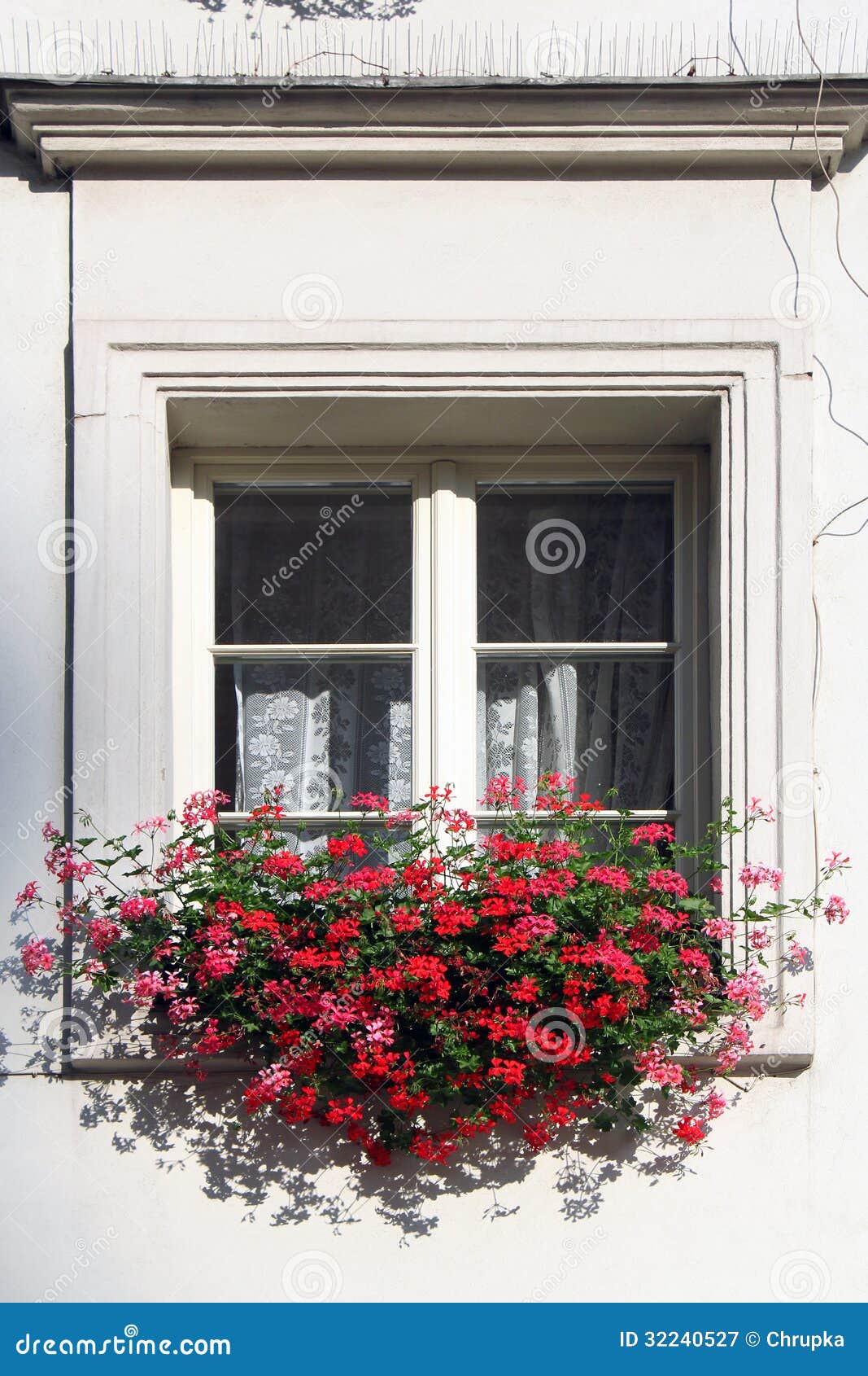 Beautiful Window with Red Flowers Stock Image - Image of white, urban ...