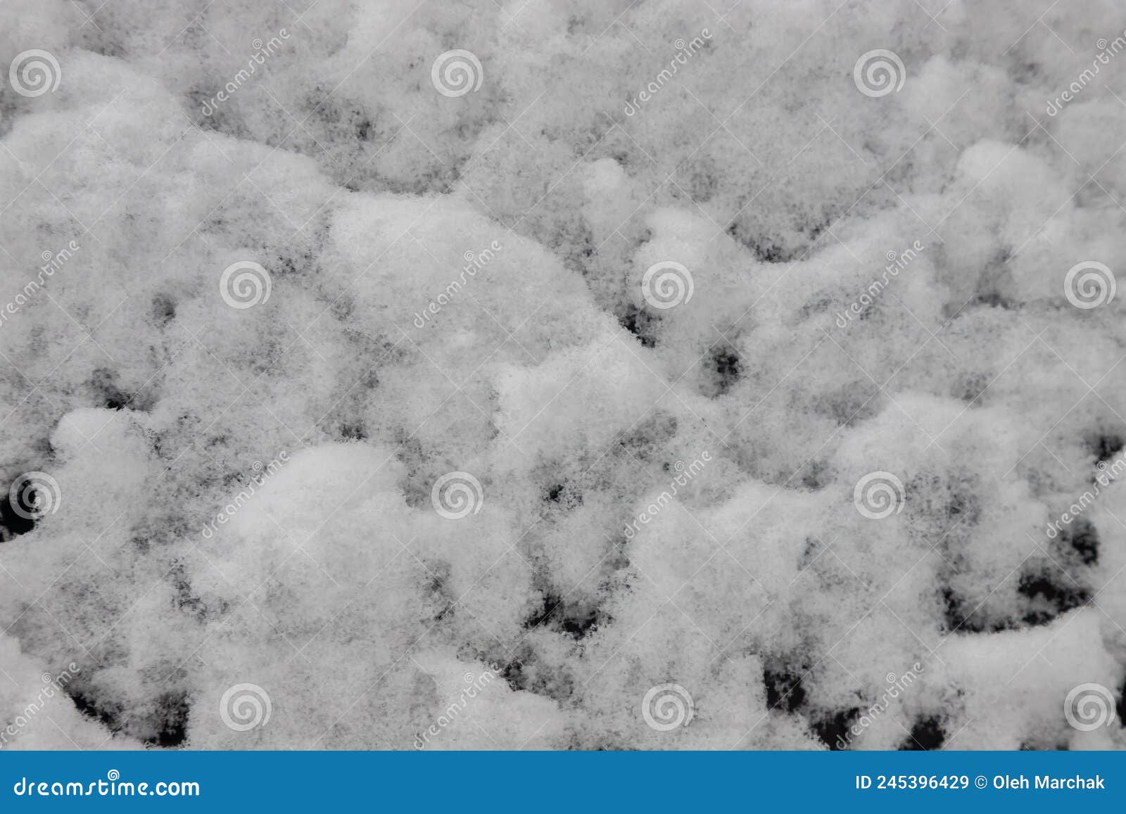 Beautiful Winter Background with Snowy Ground. Natural Snow Texture ...