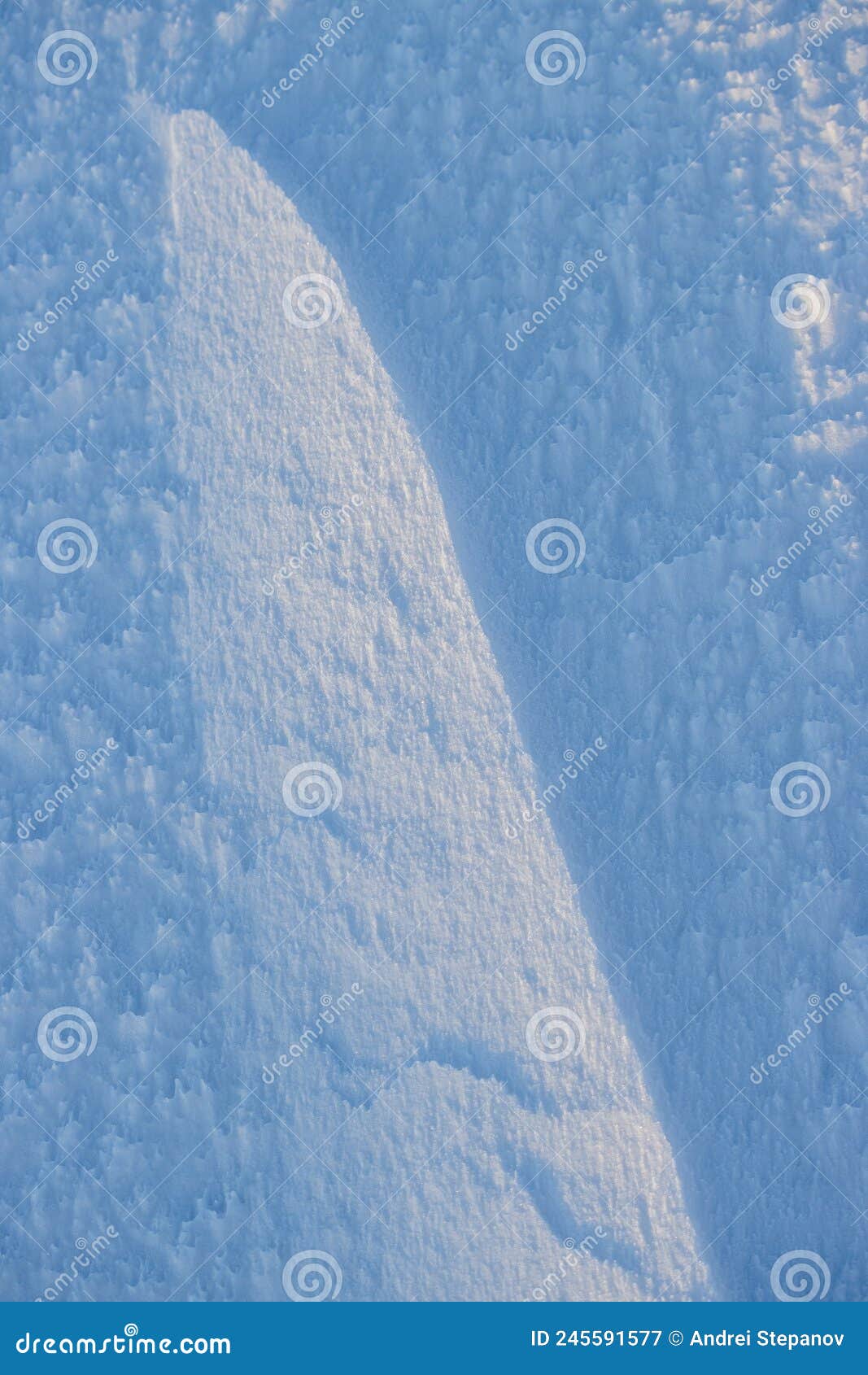 Beautiful Winter Background with Snowy Ground. Natural Snow Texture ...
