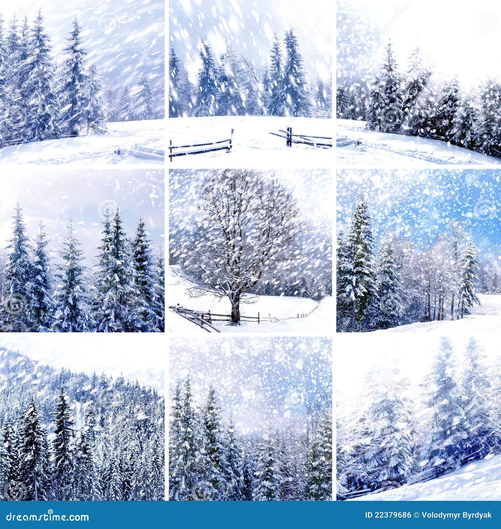 Beautiful winter collage stock photo. Image of outdoor - 22379686