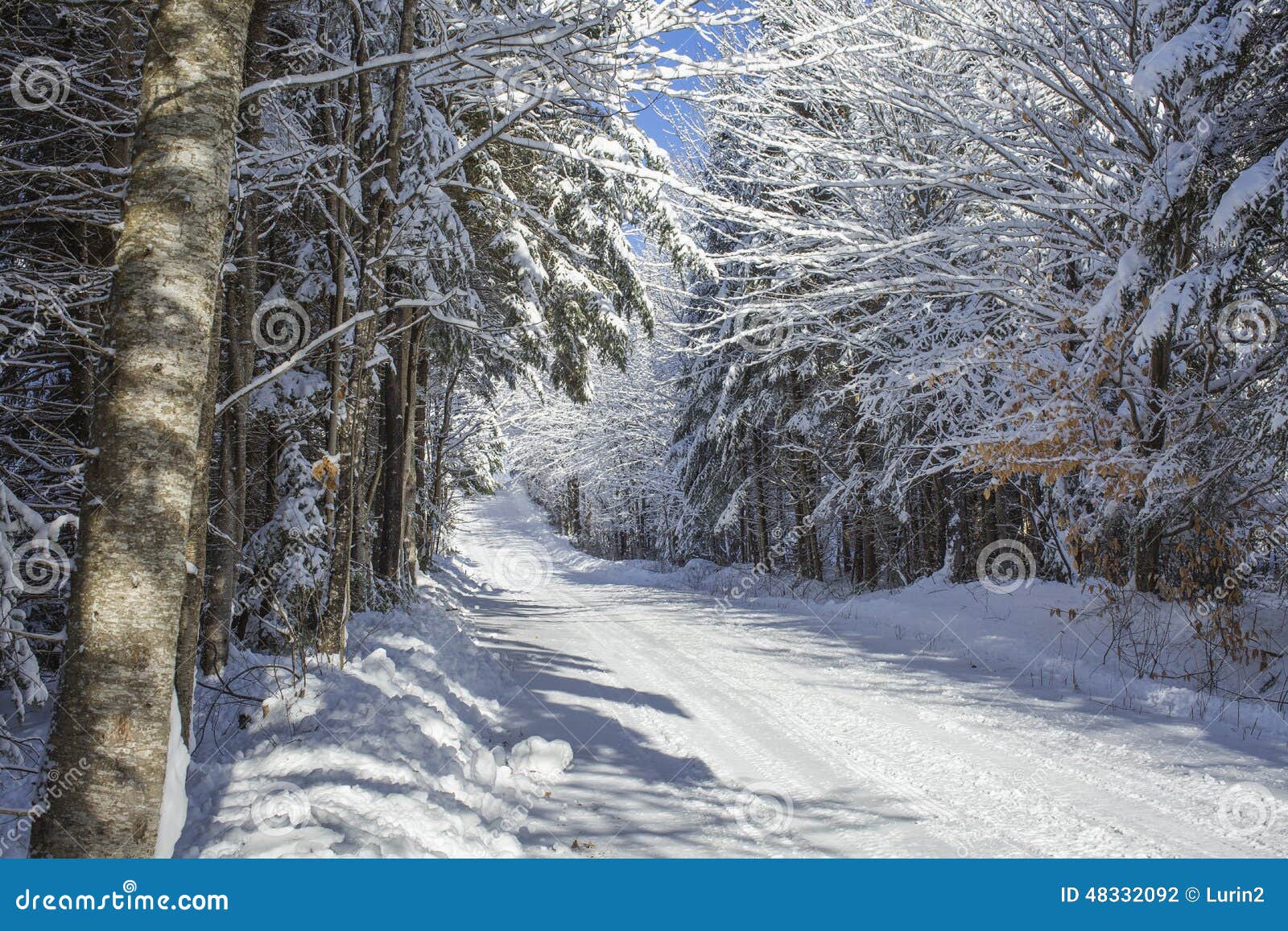 Beautiful Winter Country Road Stock Photo - Image of country, snowy ...