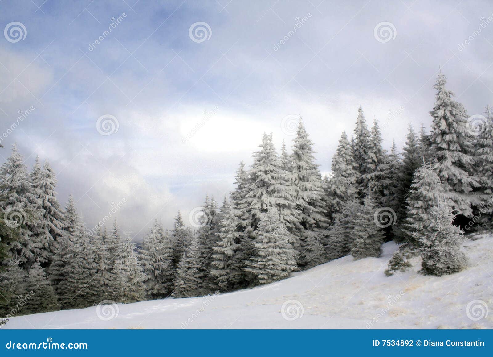 Beautiful winter day stock photo. Image of calm, color - 7534892