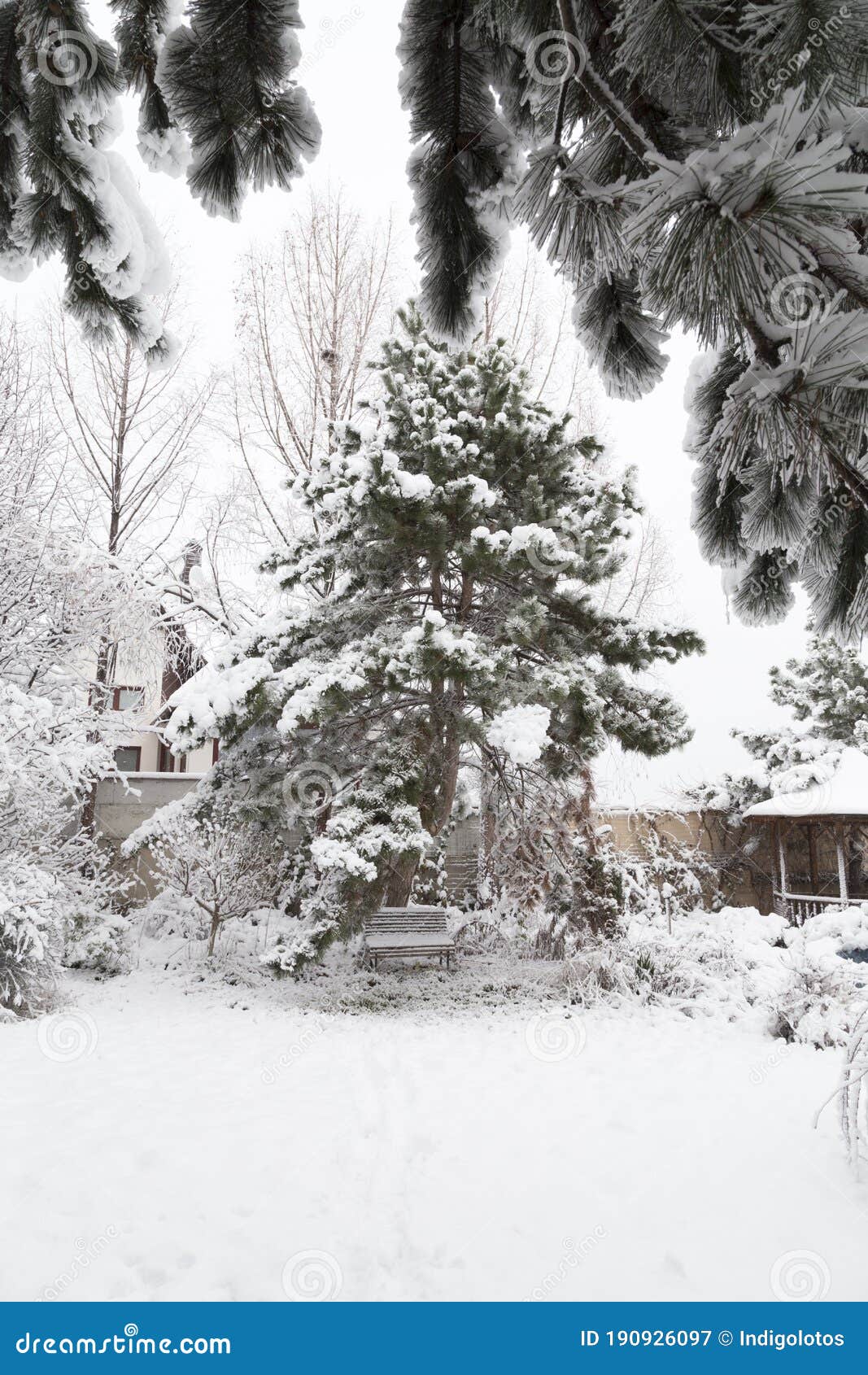 Beautiful Winter Day is in the City Stock Image - Image of frost ...