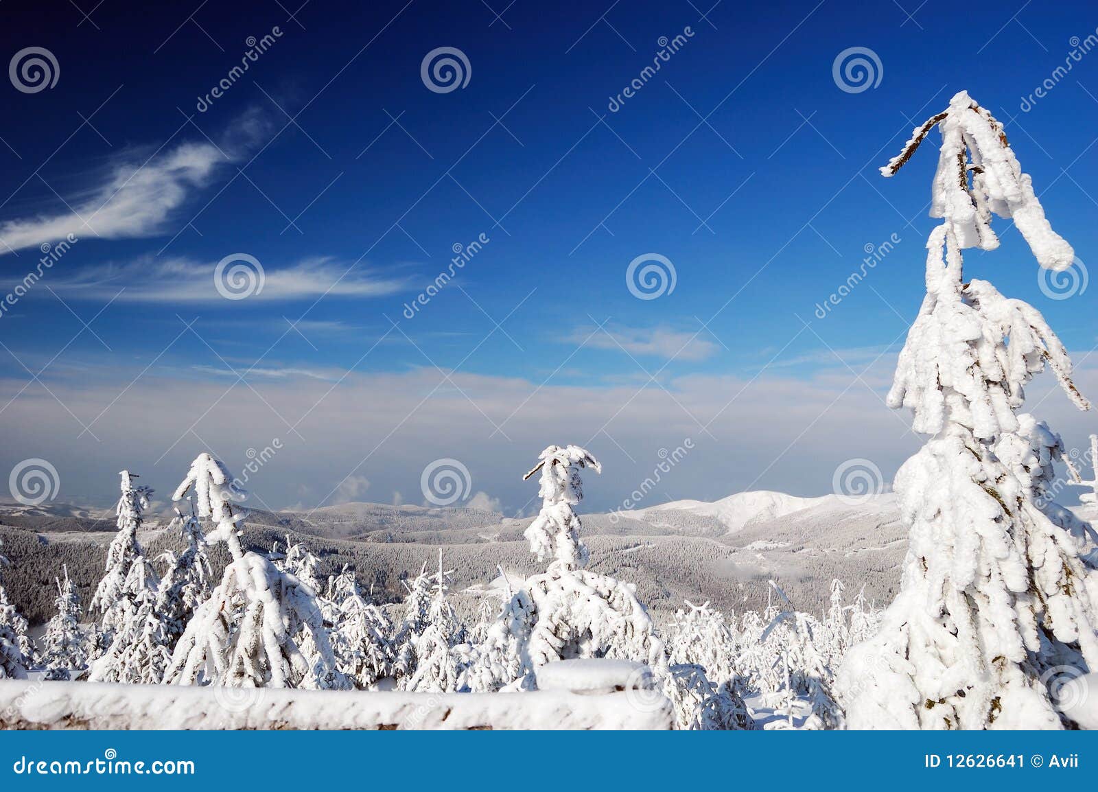 Beautiful Winter Day in Mountains Stock Image - Image of snow, forest ...