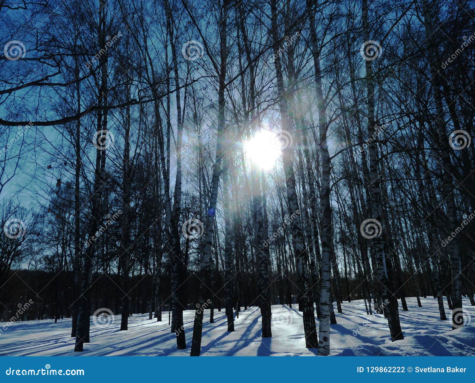 Beautiful Frosty Winter Day . Winter Sun. Stock Photo - Image of snowy ...
