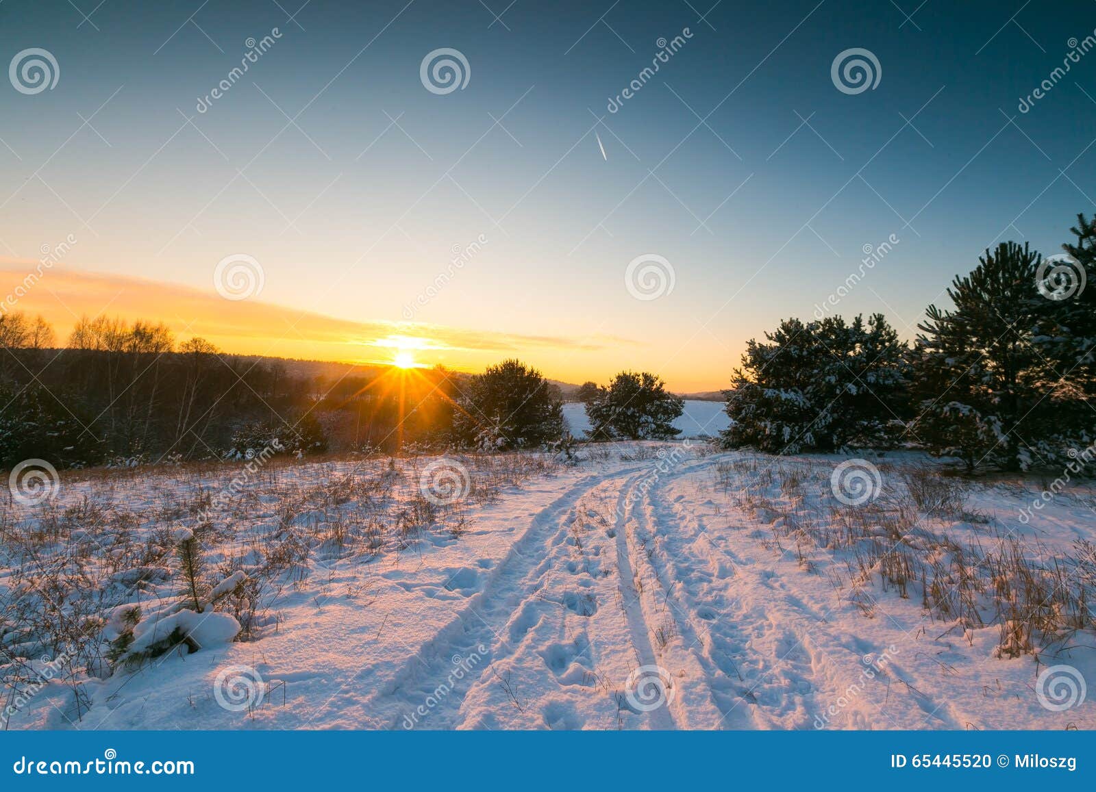 Beautiful Winter Fields and Trees Landscape Stock Photo - Image of ...
