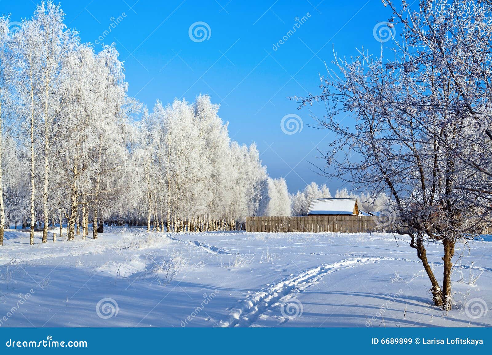Beautiful winter landscape stock image. Image of seasonal - 6689899