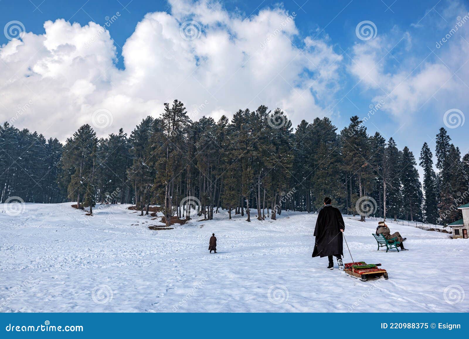 Beautiful Winter Landscape of Baisaran Valley Editorial Image - Image ...