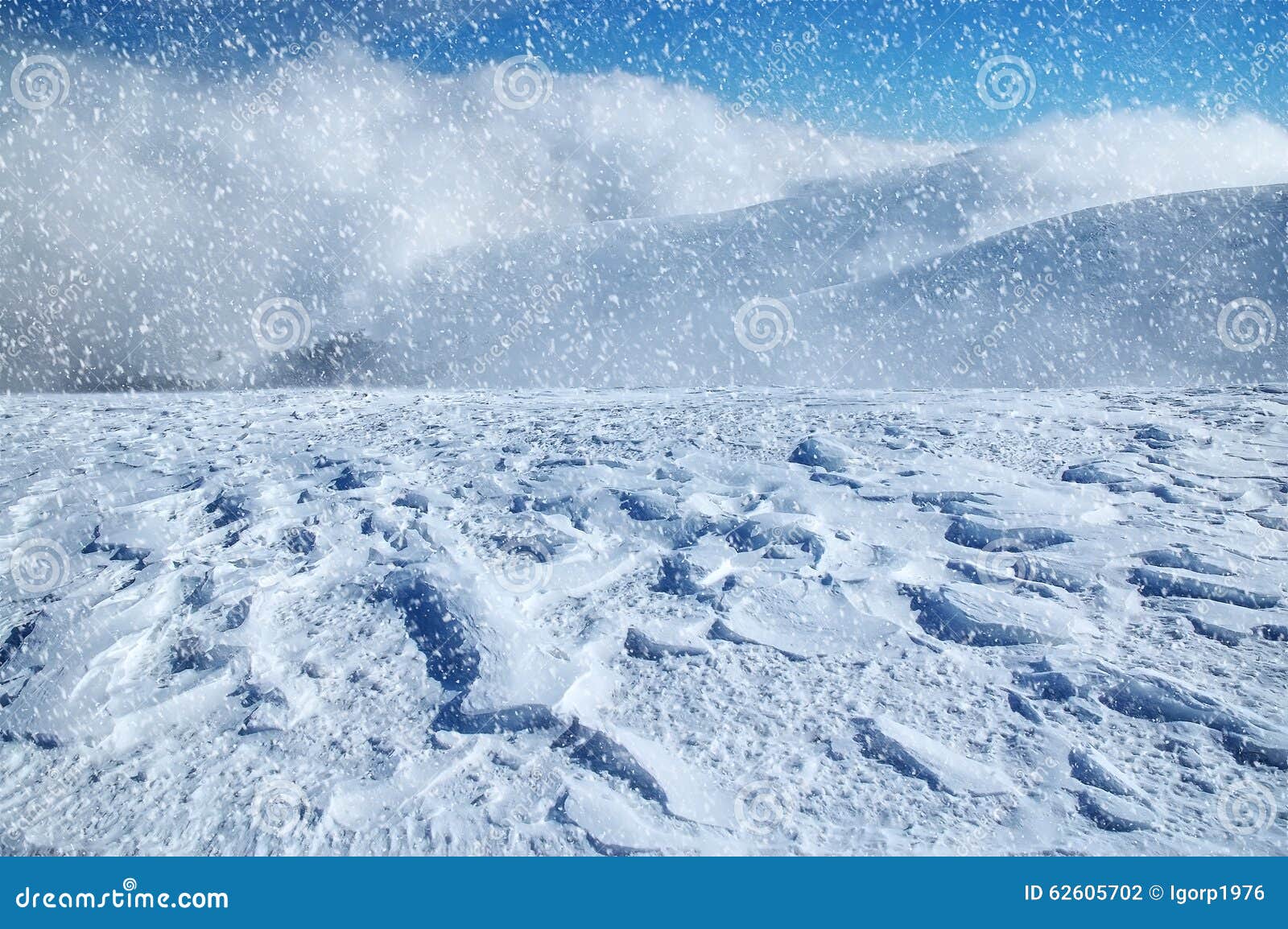 Beautiful Winter Landscape with Falling Snow. Stock Photo - Image of ...