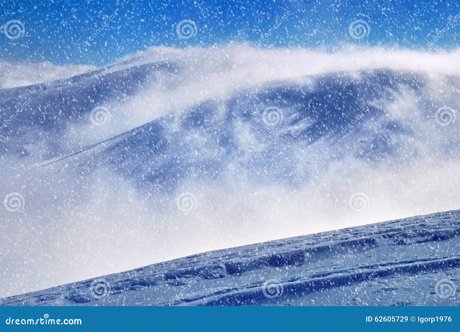 Beautiful Winter Landscape with Falling Snow. Stock Image - Image of ...
