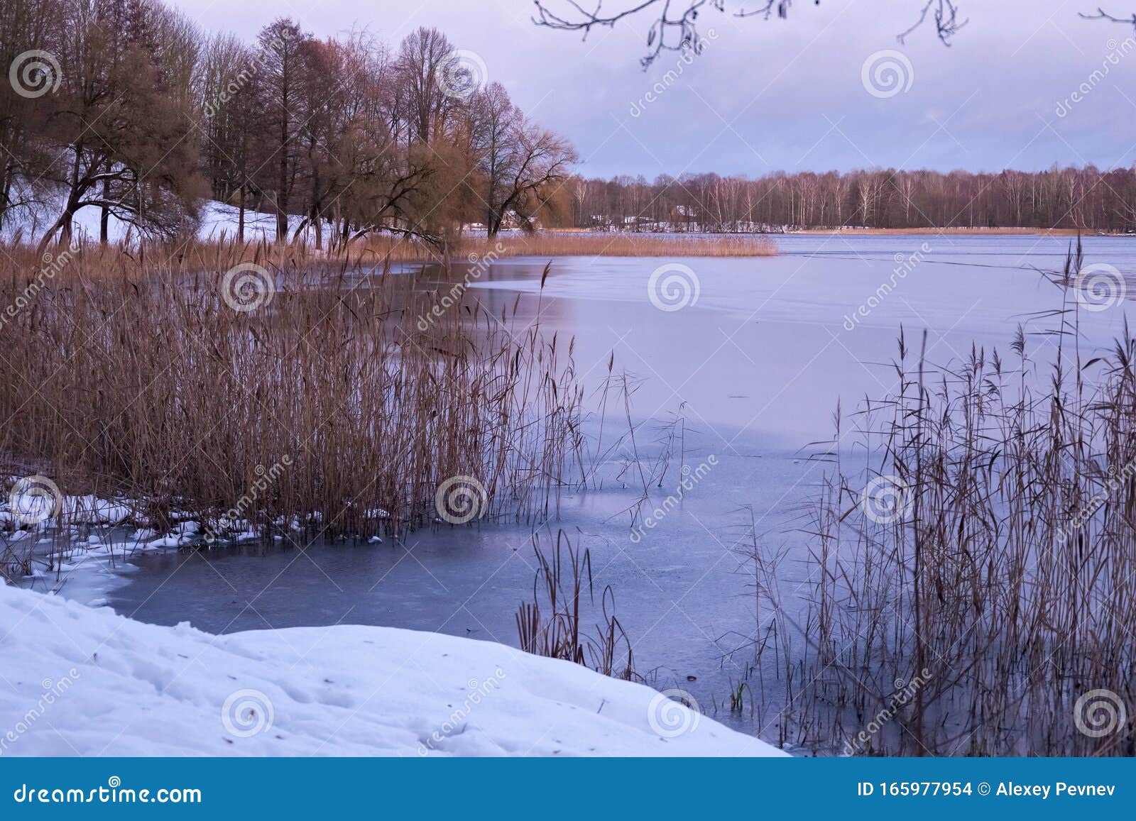 Beautiful Winter Landscape with Lake in Trakai, Lithuania Stock Photo ...