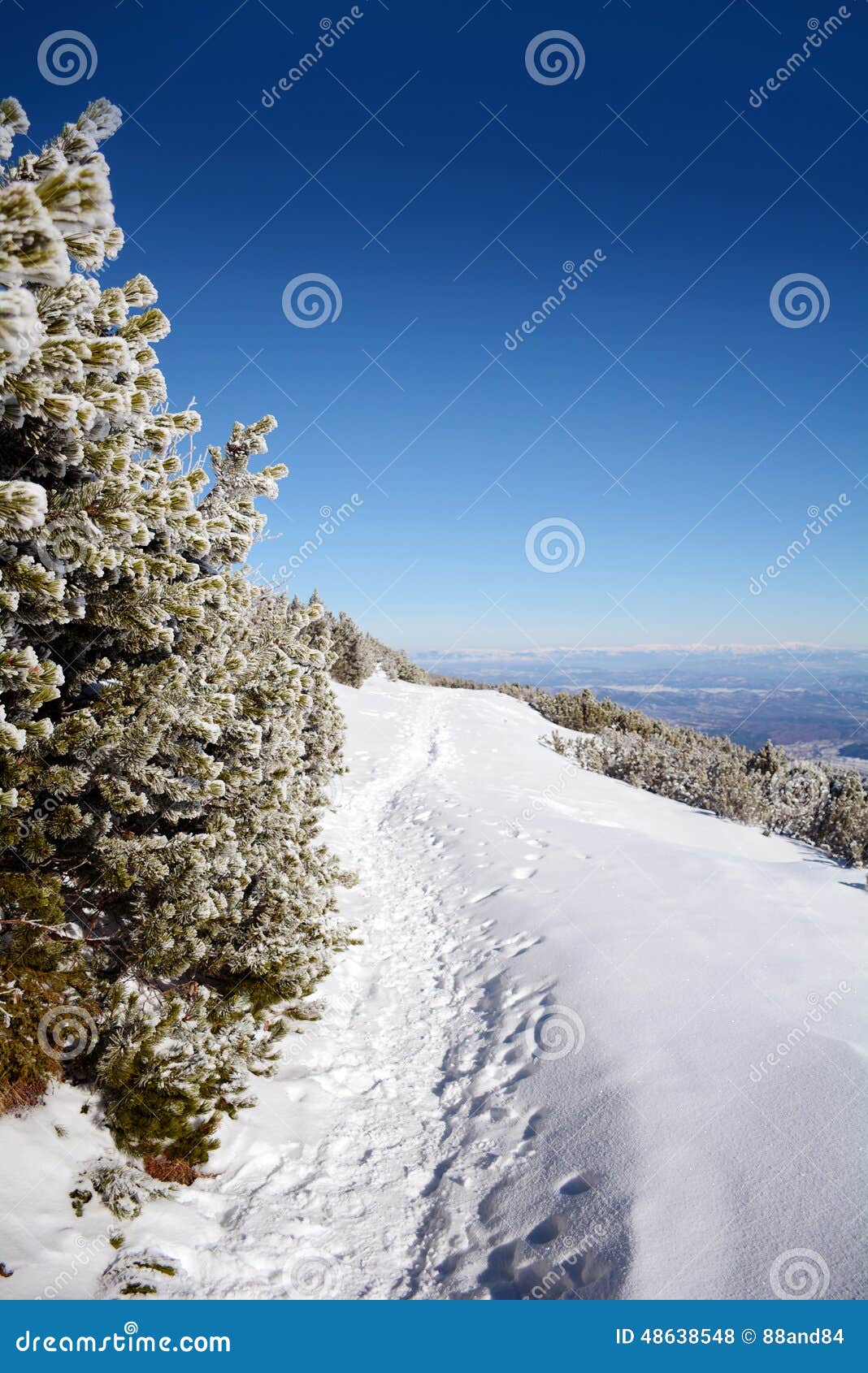 Beautiful Winter Landscape in the Mountain. Empty Path Stock Photo ...