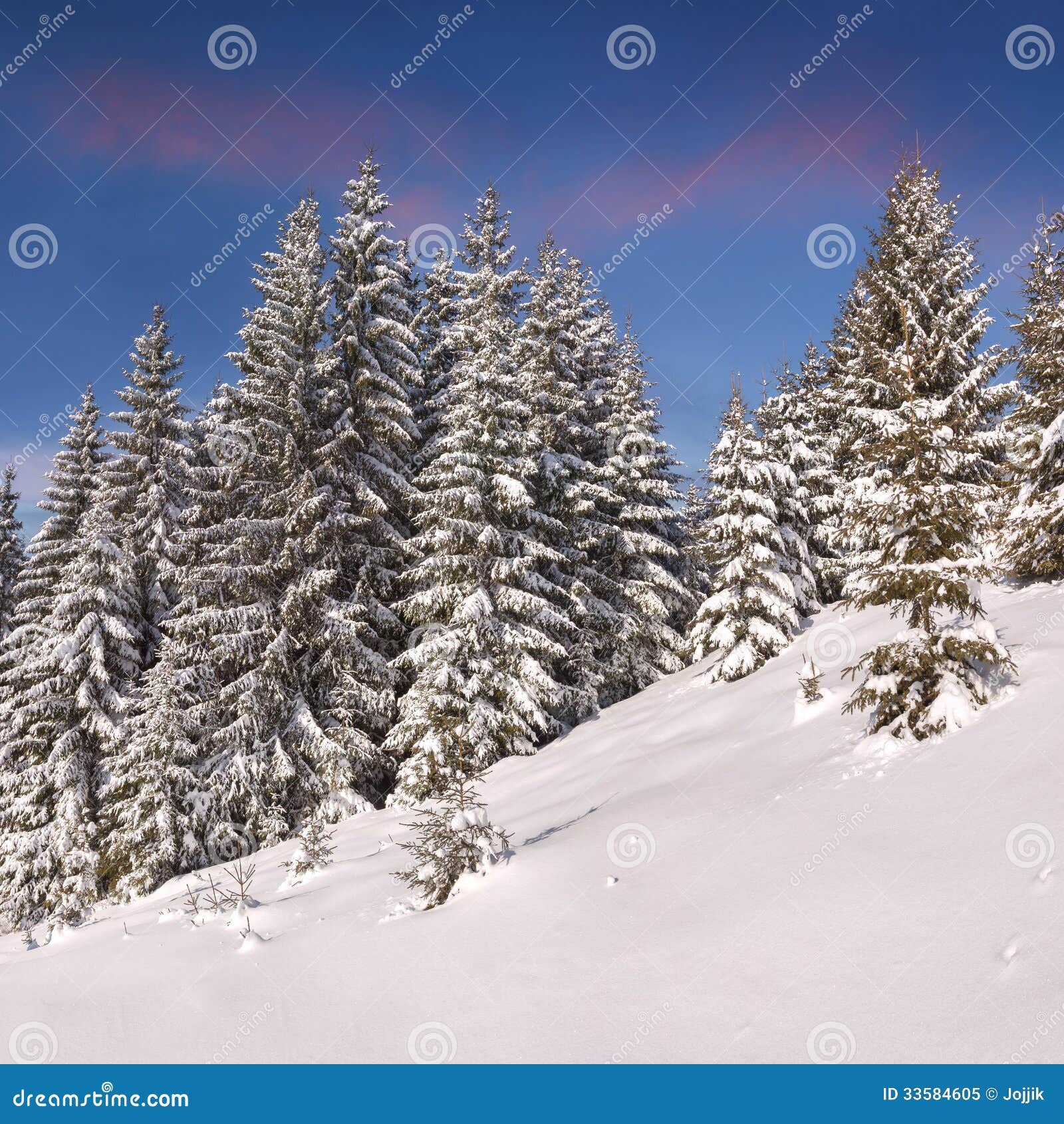 Beautiful Winter Landscape in the Mountains Stock Image - Image of ...