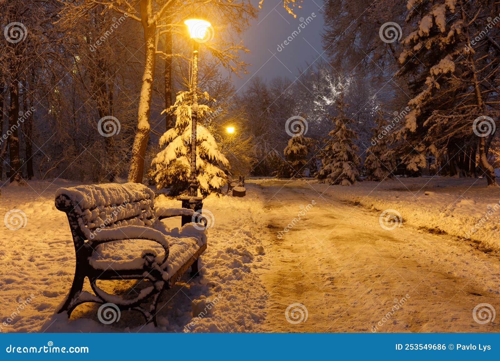 Beautiful Winter Landscape. Night Park in Winter Stock Photo - Image of ...