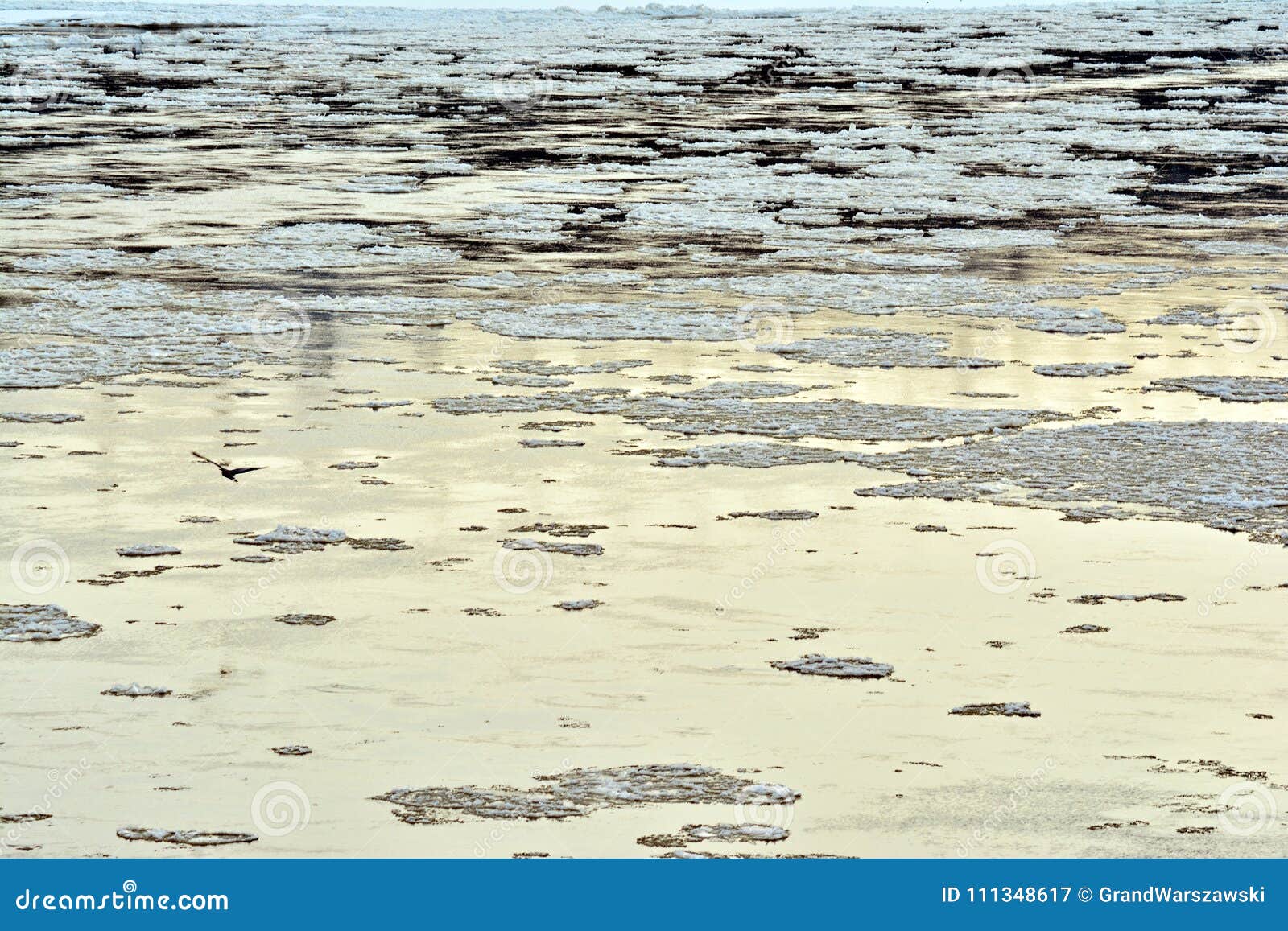 Beautiful Winter Landscape in the River, the River Was Put in Ice Stock ...