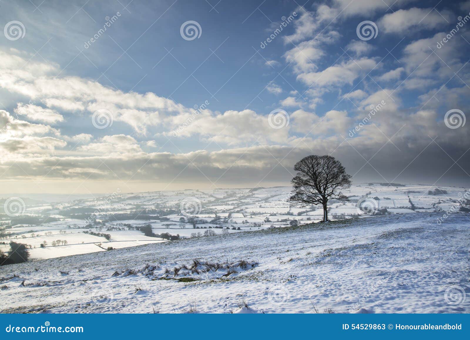 Beautiful Winter Landscape Snow Covered Fields in Countryside Stock ...
