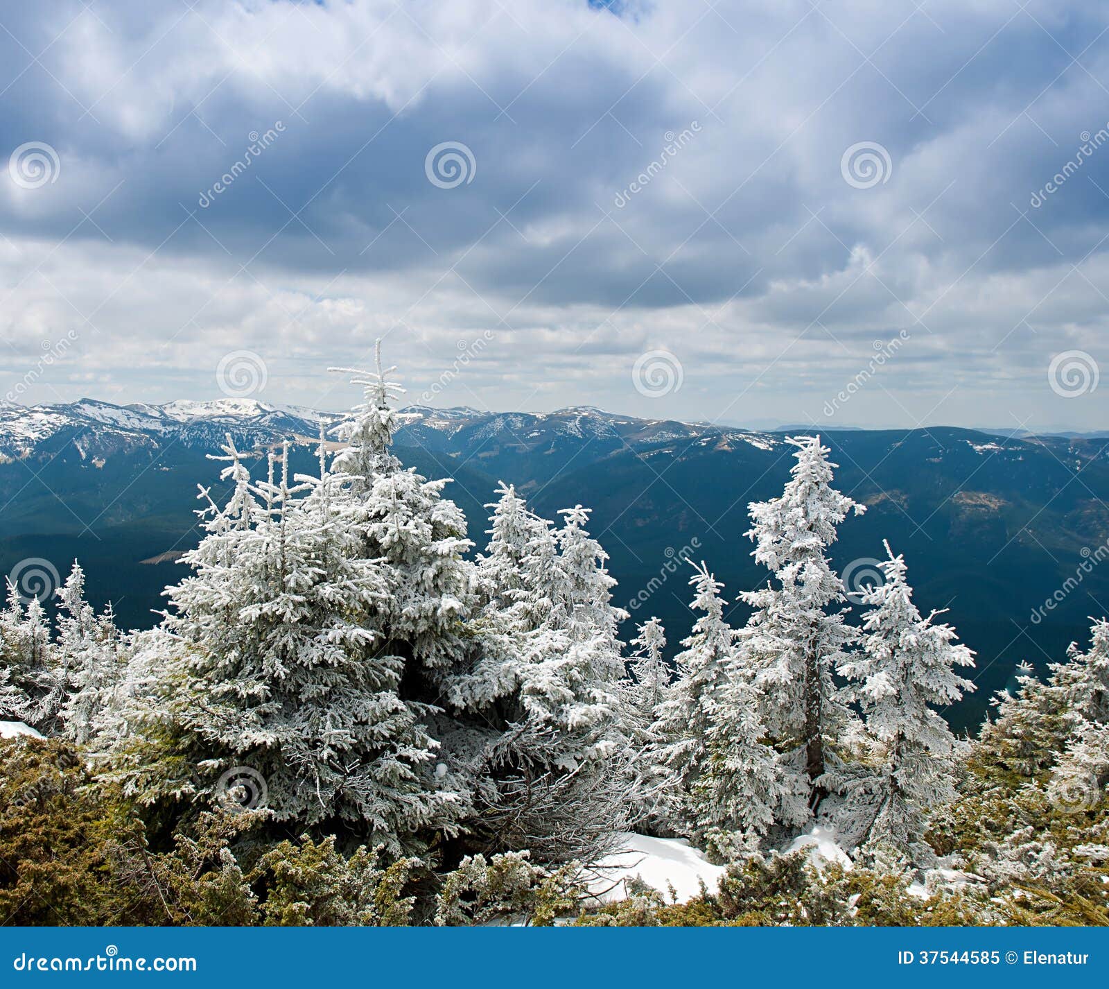 Beautiful Winter Landscape with Snow Covered Trees. Stock Image - Image ...