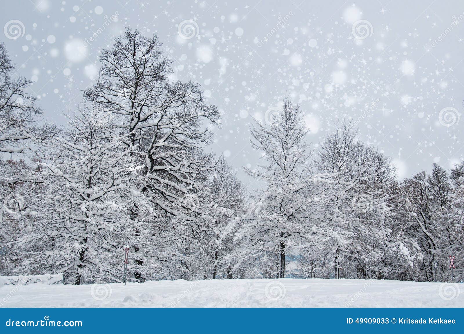 Beautiful Winter Landscape with Snow Covered Trees Stock Image - Image ...